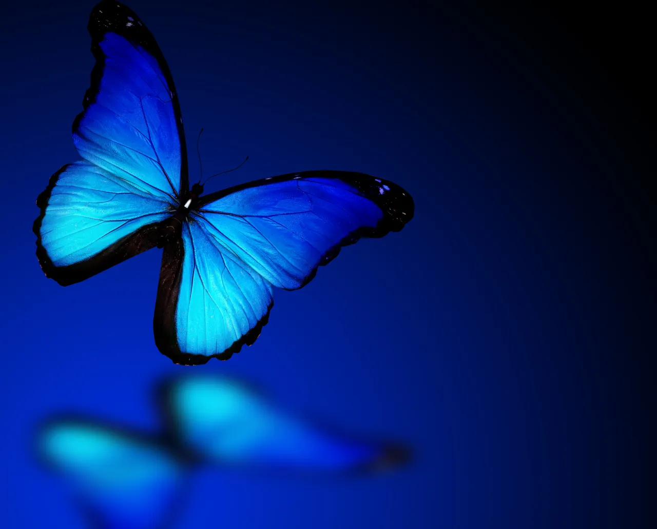 Neon Blue RGB CMYK HEX Color Codes And Color Meaning Neon Blue RGB CMYK HEX Color Codes And Color Meaning