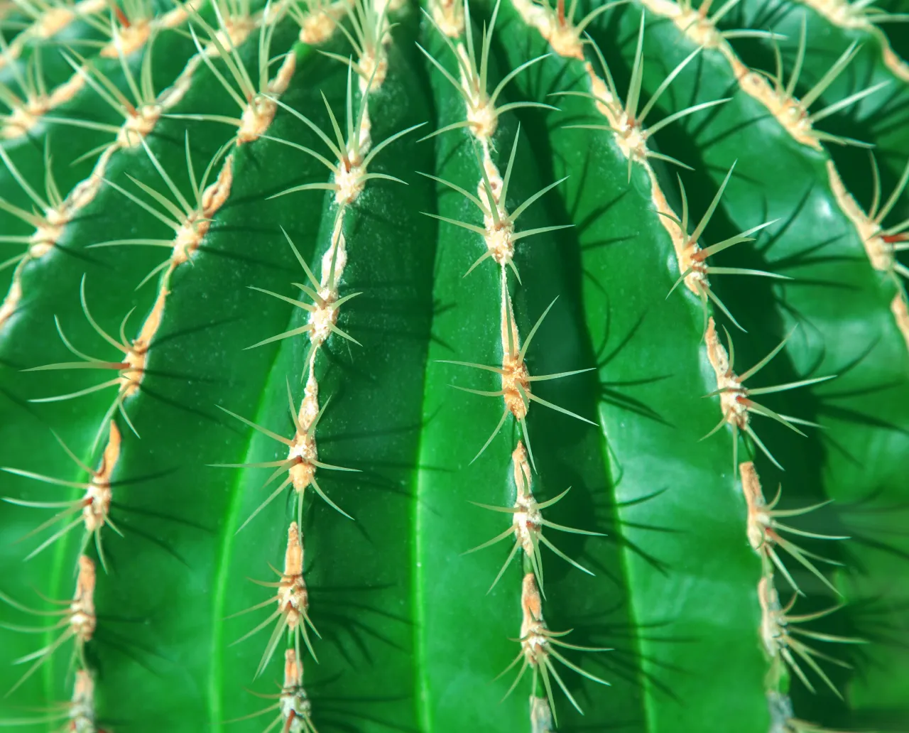 Sea Green RGB, CMYK, HEX Color Codes and Color Meaning